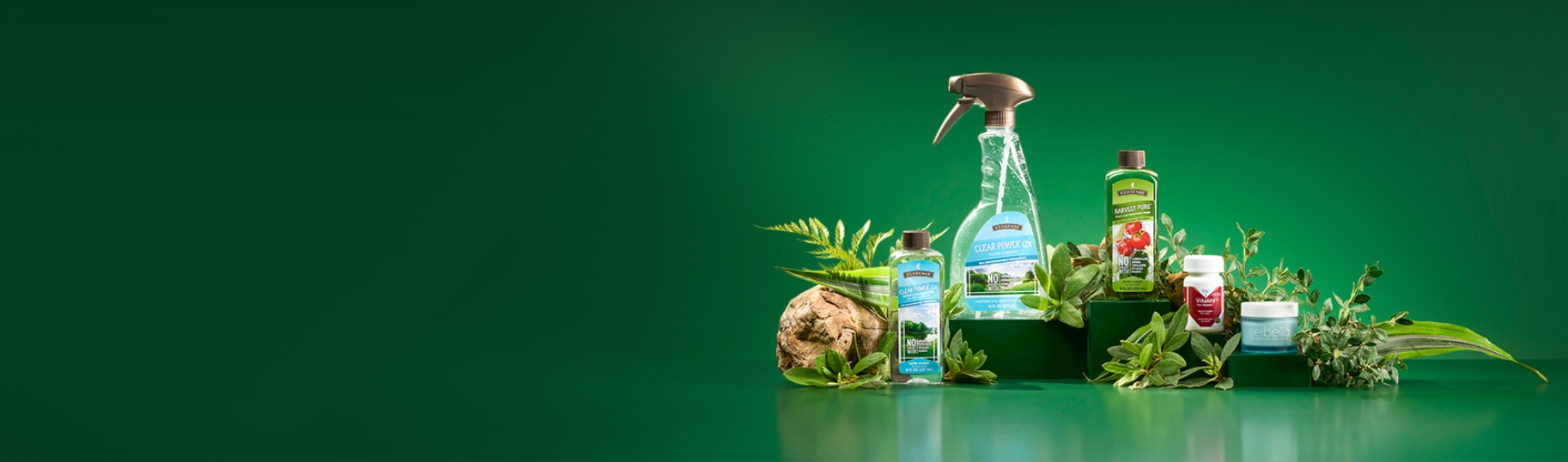 Melaleuca: The Wellness Company